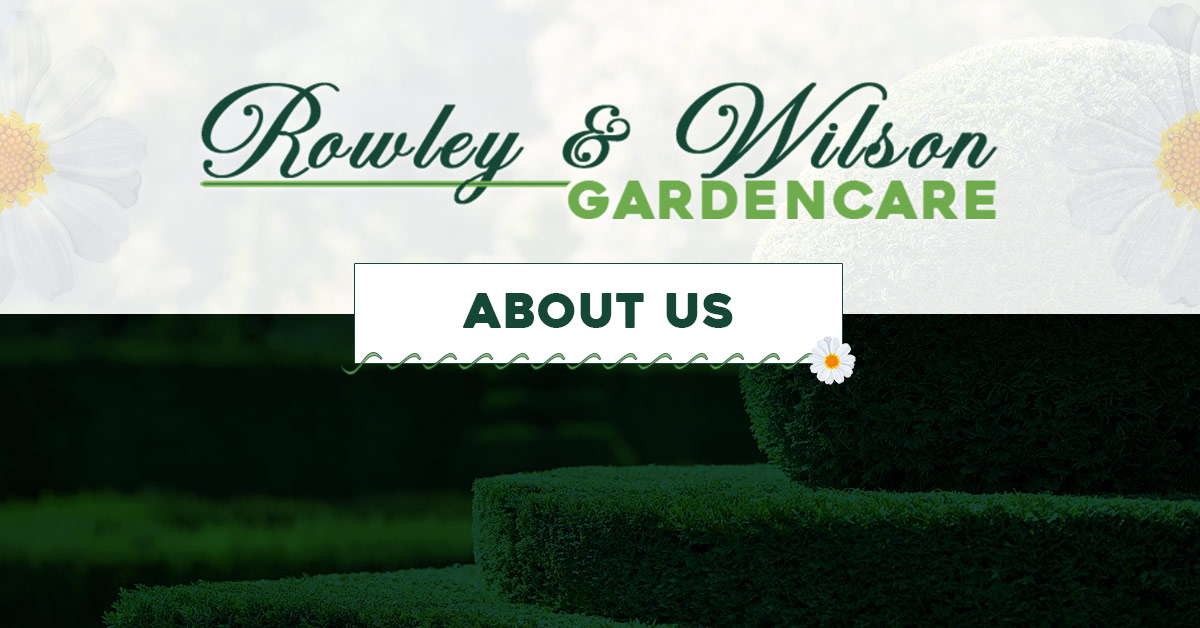 About Rowley & Wilson | Your Local Trusted Garden Experts
